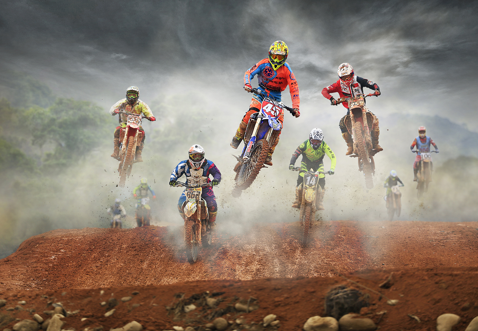 Golden Lion Photo Circuit